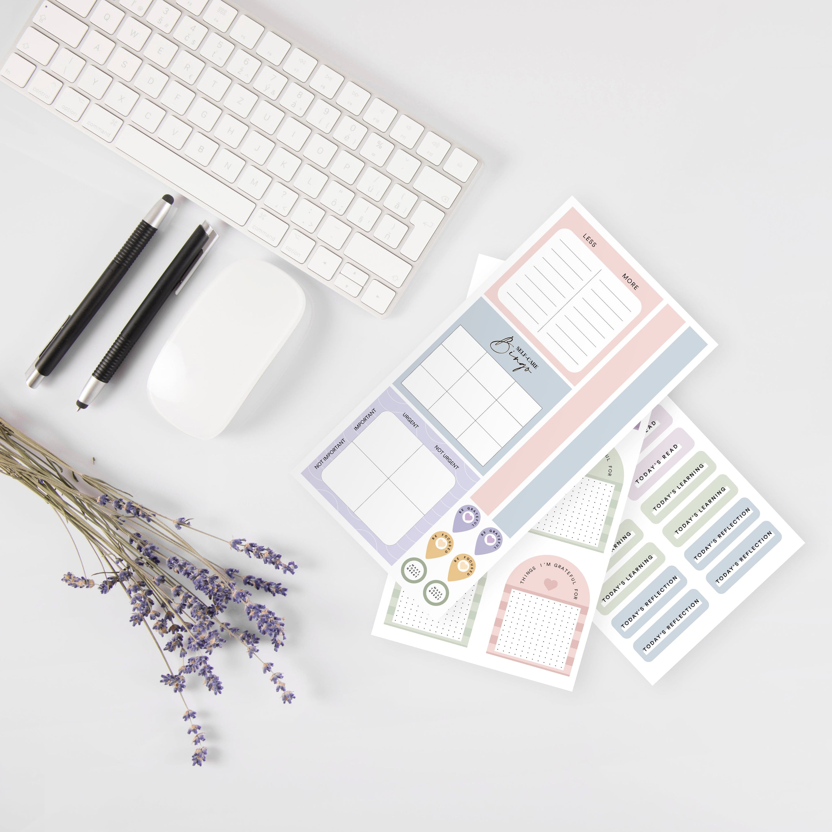 Silk + Sonder Sticker Set (2000+ stickers)